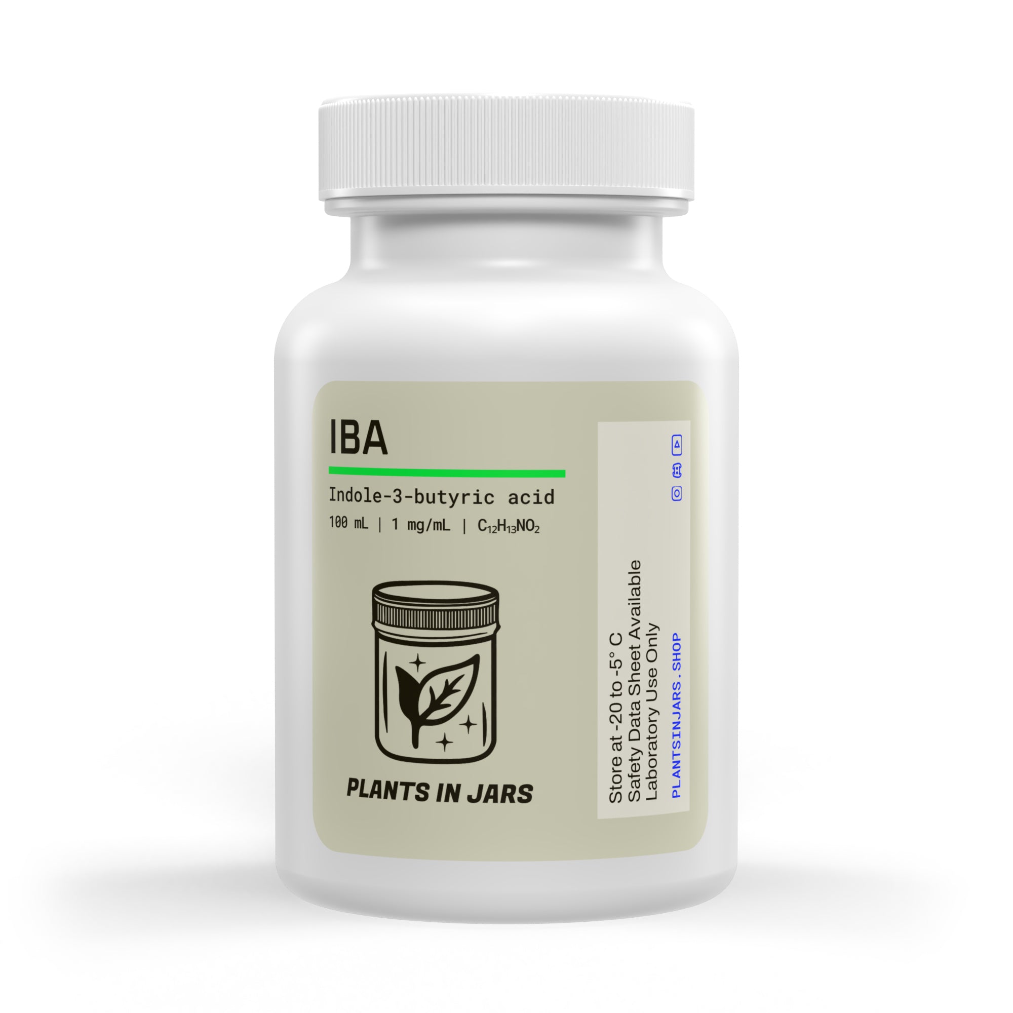 Media – Plants in Jars